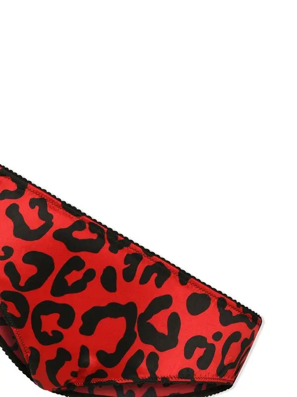 Dolce & Gabbana Leopard-print Briefs - Red