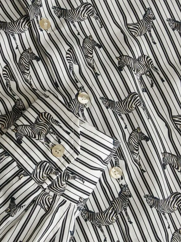 Etro Zebra-print Long-sleeved Shirt - White