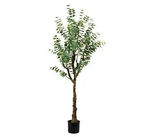 SAFAVIEH Faux Eucalyptus 60' Potted Tree - One-color