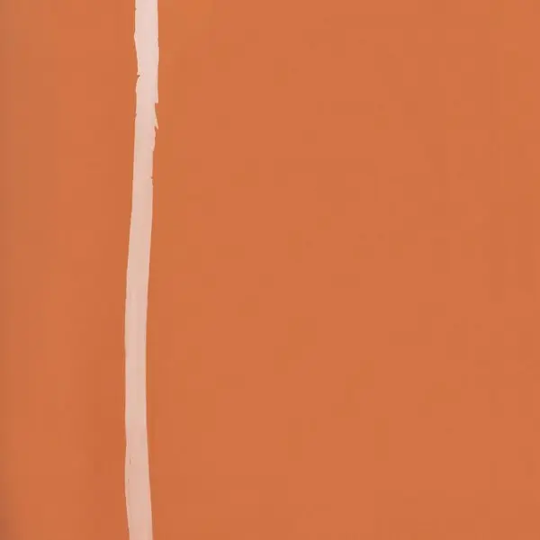 SKIMS Latex Thong