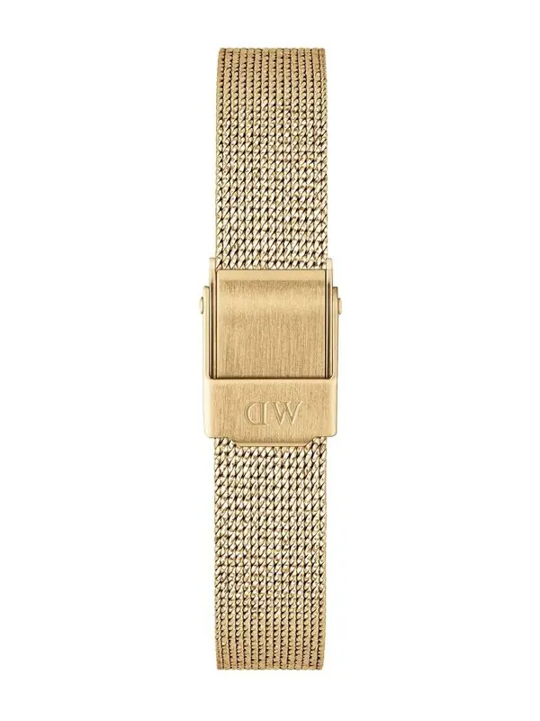 DANIEL WELLINGTON 28mm Petite Evergold Watch