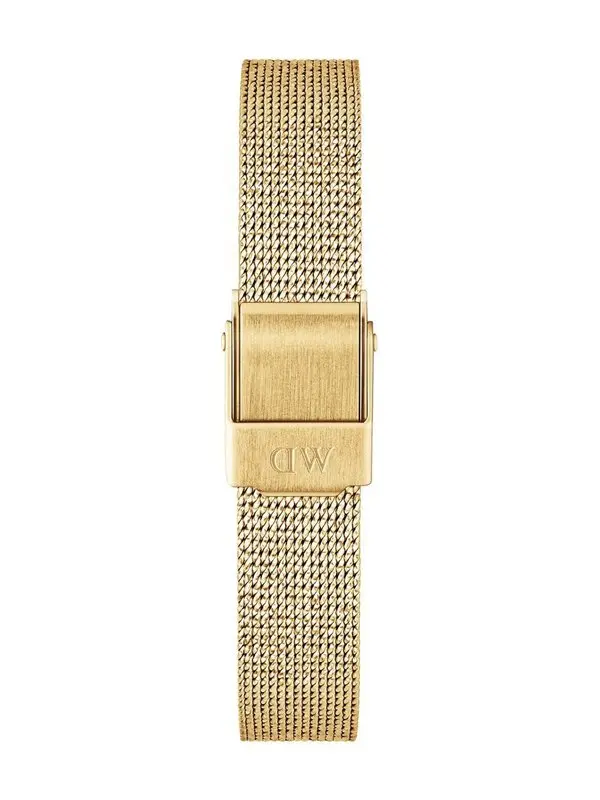 DANIEL WELLINGTON Petite Evergold 28mm