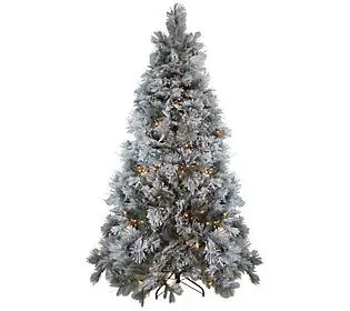 NORTHLIGHT 7.5' Led Black Spruce Artificial Tre E Clear Lights - One-color