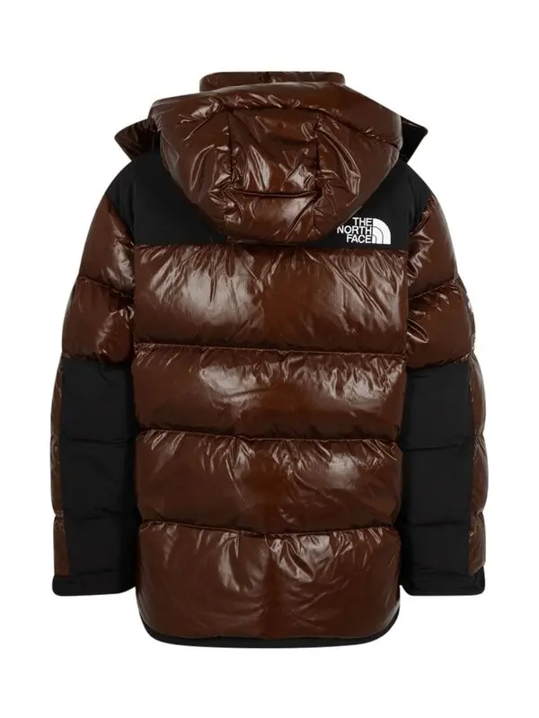 Supreme X The North Face 700-Fill Down Parka - Brown | Editorialist