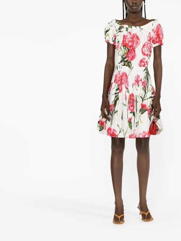 Dolce & Gabbana Carnation-print Minidress