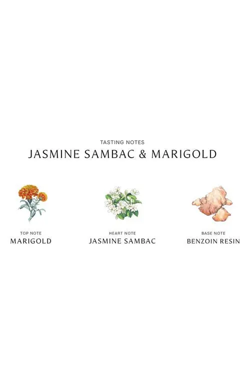 JO MALONE LONDON™ Jasmine Sambac & Marigold Cologne Intense