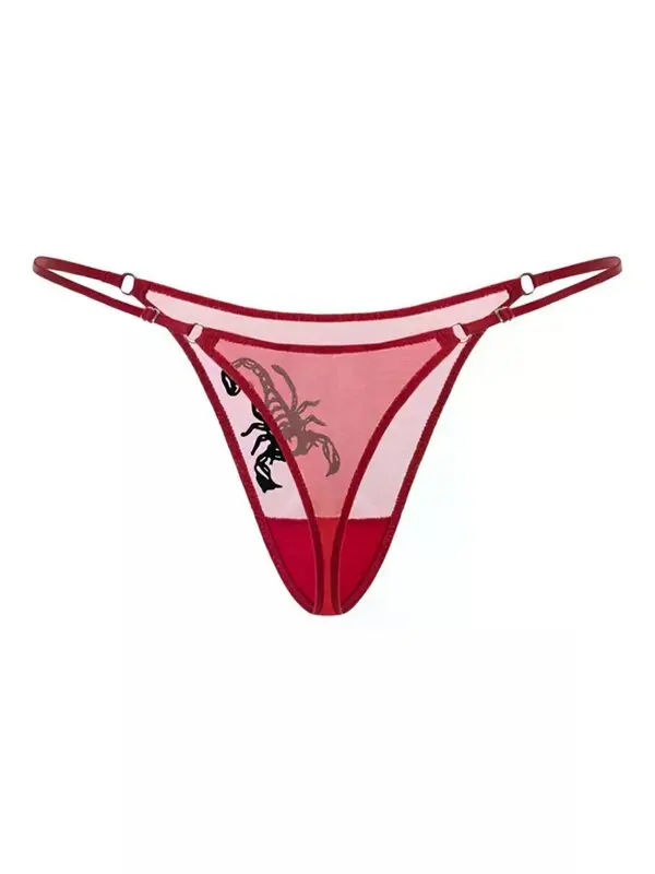 ZHILYOVA Embroidered Sheer Thong