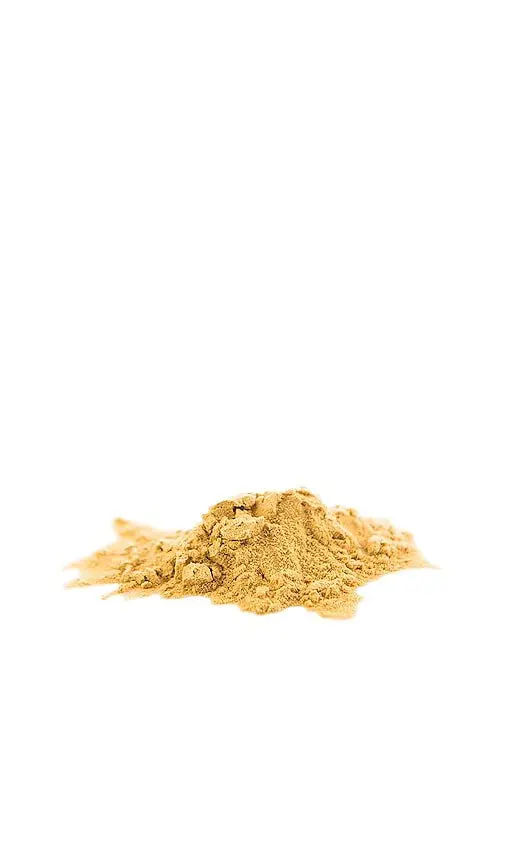 SUN POTION Astragalus The Great Protector Powder