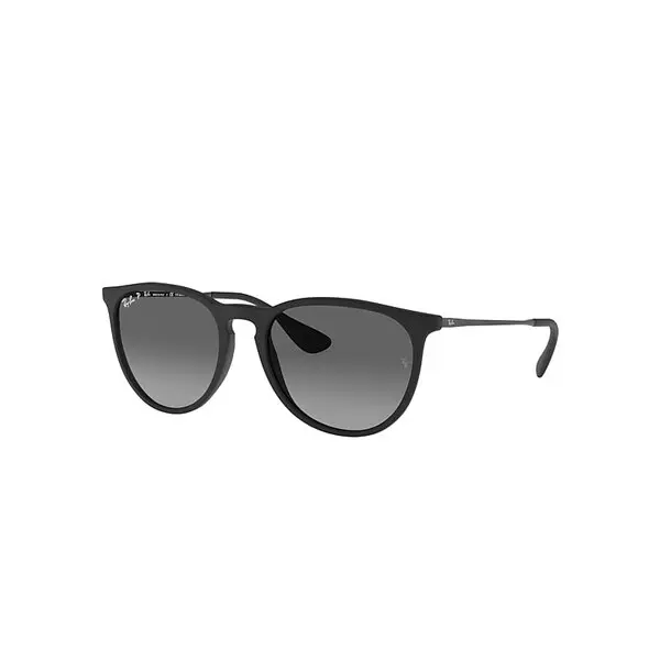 Ray-ban Erika Classic Sunglasses Polarized - Black