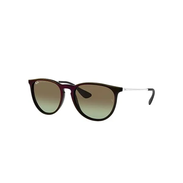 Ray-ban Erika Classic Sunglasses - Black