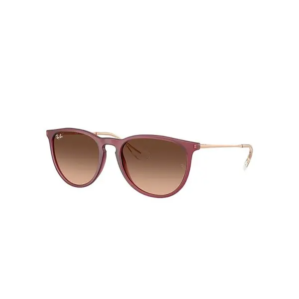 Ray-ban Erika Color Mix Sunglasses - Rubber Violet