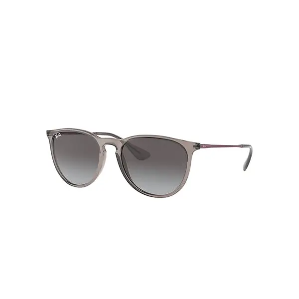 Ray-ban Erika Classic Sunglasses - Transparent Grey
