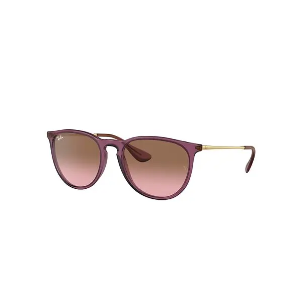 Ray-ban Erika Classic Sunglasses - Transparent Violet