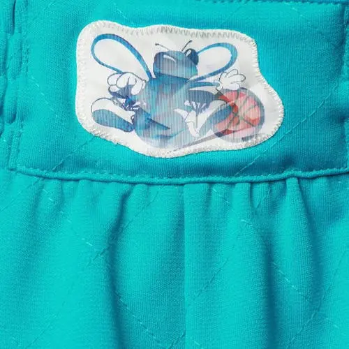 Mitchell & Ness Charlotte Hornets 1992 Hardwood Classics 75th Anniversary Swingman Shorts