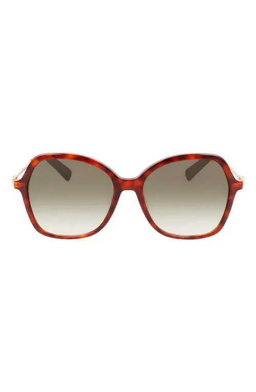 Longchamp 57mm Rectangle Sunglasses - Havana