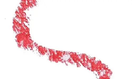 CTZN COSMETICS Lipstroke Waterproof Lip Liner - Seis