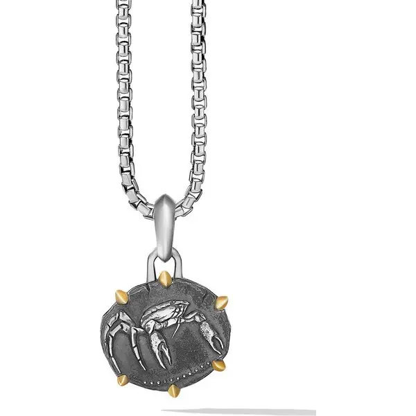David Yurman Zodiac Amulet Pendant - Silverancer