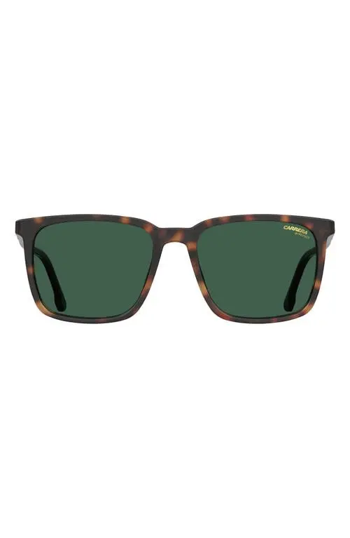 Carrera Eyewear 55mm Polarized Rectangle Sunglasses - Dark Havana/green