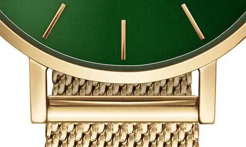 DANIEL WELLINGTON - Daniel Wellington Petite Melrose Mesh Watch