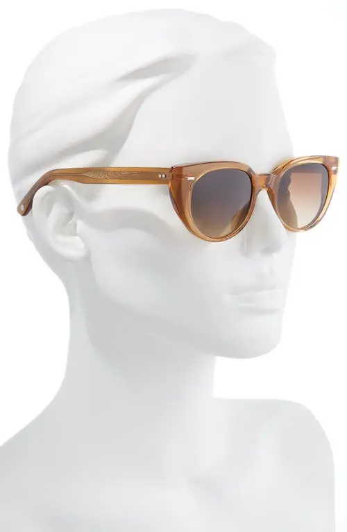 Salt. Taylor 52mm Polarized Cat Eye Sunglasses - Whiskey  display picture 1
