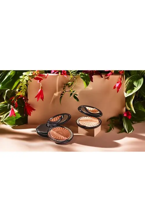 CHANTECAILLE Blur Finishing Powder - Medium/deep