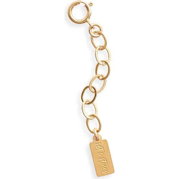 SET & STONES Extender Chain - Gold 1 In