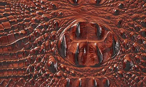 Brahmin Medium Asher Croc Embossed Leather Tote - Pecan