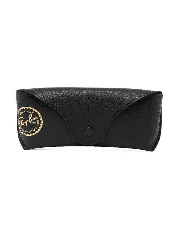 Ray-ban Lady Burbank Cat-eye Sunglasses