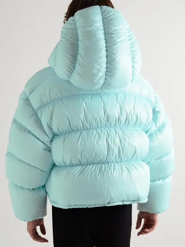 Moncler Dingyun Zhang Josa Quilted Down Jacket