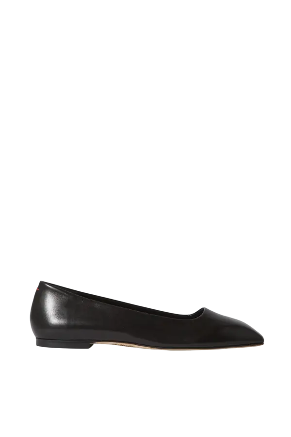 AeydĒ Ida Leather Ballet Flats