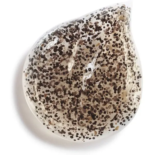 Chanel Sublimage Les Grains De Vanille Purifying And Radiance-revealing Face Scrub