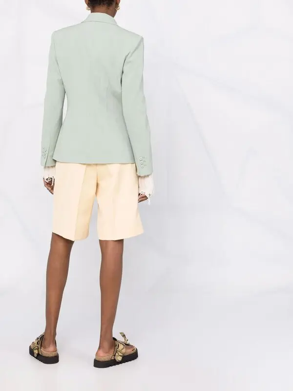 Alberta Ferretti Double-breasted Blazer