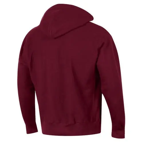 Champion Bethune-cookman Wildcats Tall Arch Pullover Hoodie