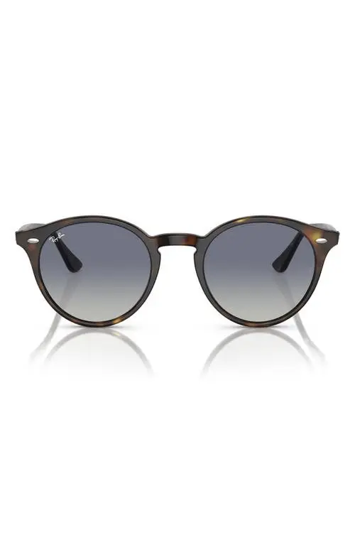 Ray-ban 49mm Round Frame Sunglasses - Lite Havana
