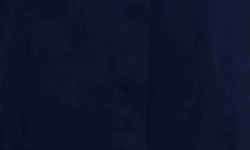 Foxcroft Taylor Non-iron Sleeveless Button-up Shirt - Navy