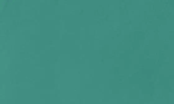 Foxcroft Taylor Non-iron Sleeveless Button-up Shirt - Vintage Jade