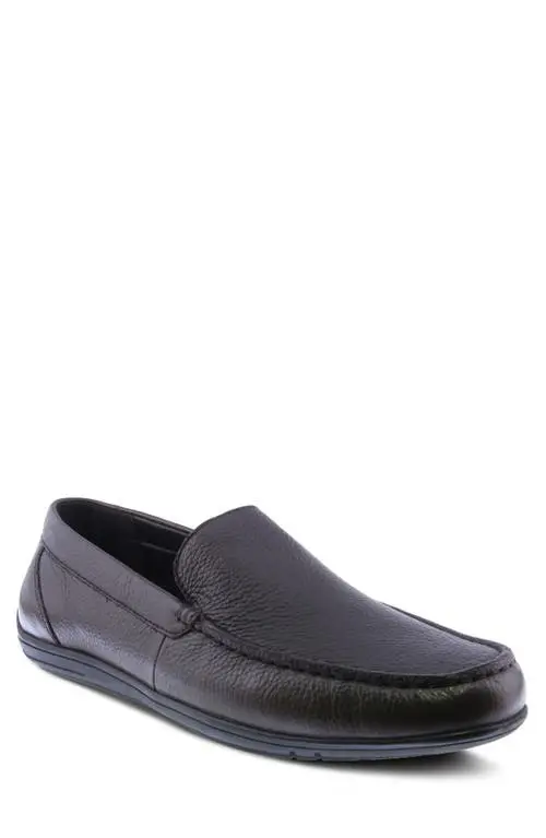 SPRING STEP SHOES Ceto Driving Loafer - Brown