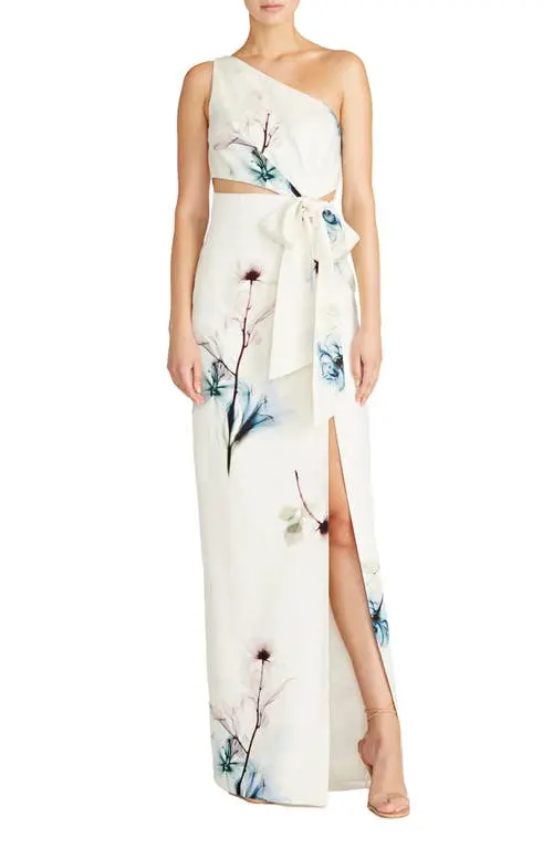 Monique Lhuillier Floral One-shoulder Gown - X-ray Flora