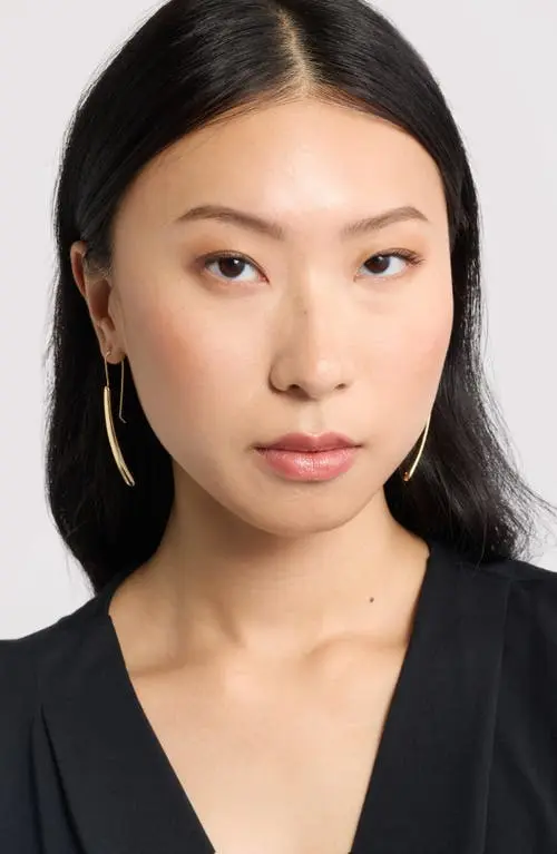 Nordstrom Bar Drop Earrings