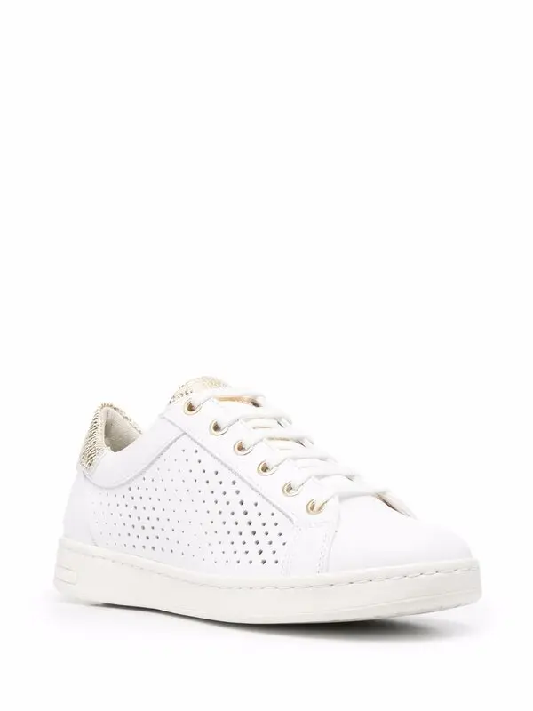 Geox Jaysen Low-top Sneakers