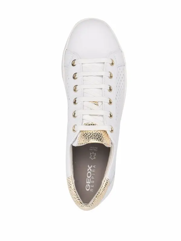 Geox Jaysen Low-top Sneakers