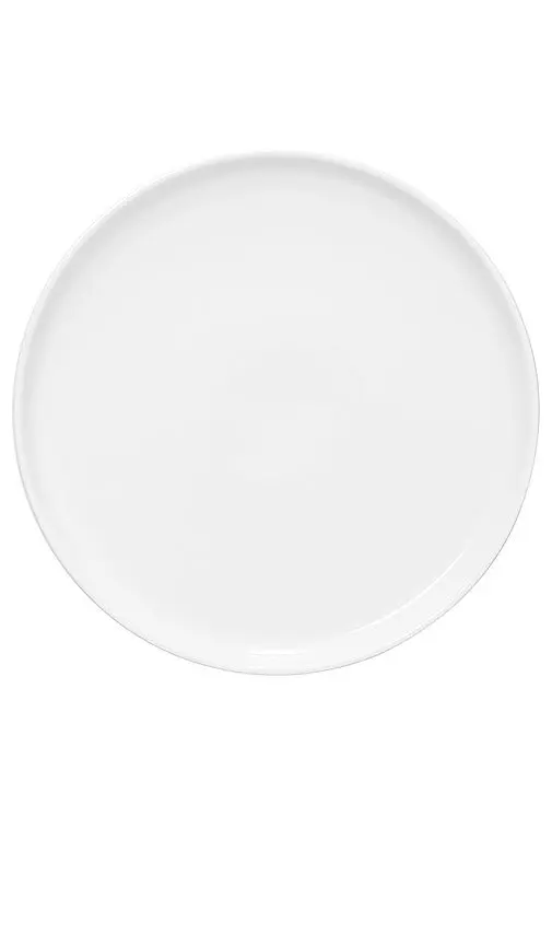 PUBLIC GOODS Ceramic Dinner Plate Set Of 4 In White