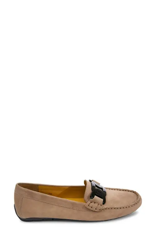 Vaneli Aiker Driving Loafer - Taupe Suede