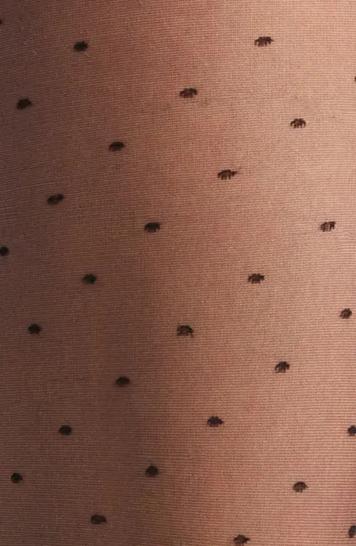 MEMOI Petite Point Fashion Tights