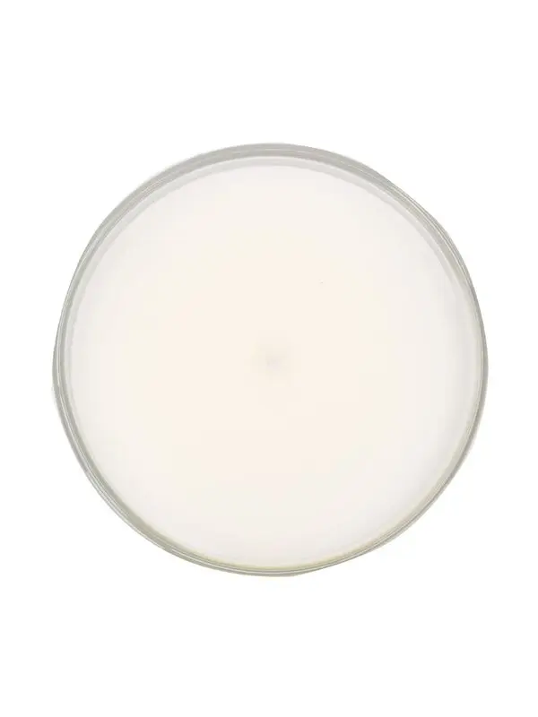 DIPTYQUE Benjoin Scented Candle