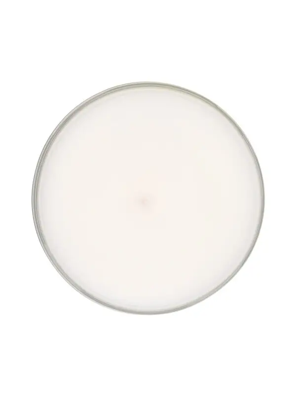 DIPTYQUE Lys Candle