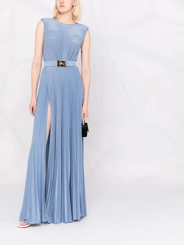 Elisabetta Franchi Pleated Gown With Cowl Back