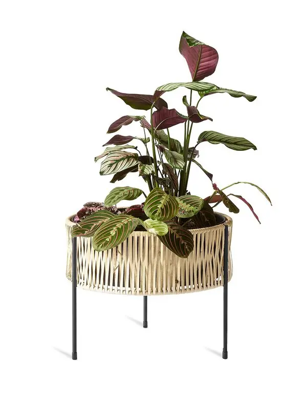 AUDO Umanoff Medium Planter