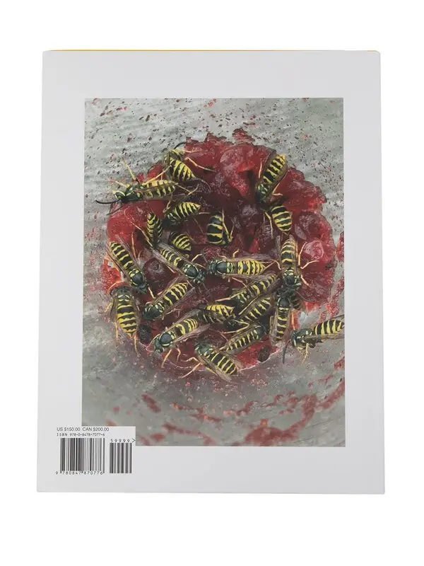 RIZZOLI Juergen Teller: Donkey And Other Stories Book