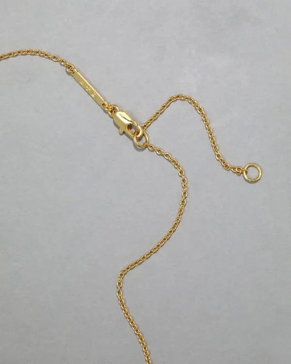 Alexis Bittar Capped Crescent Lucite Pendant Necklace